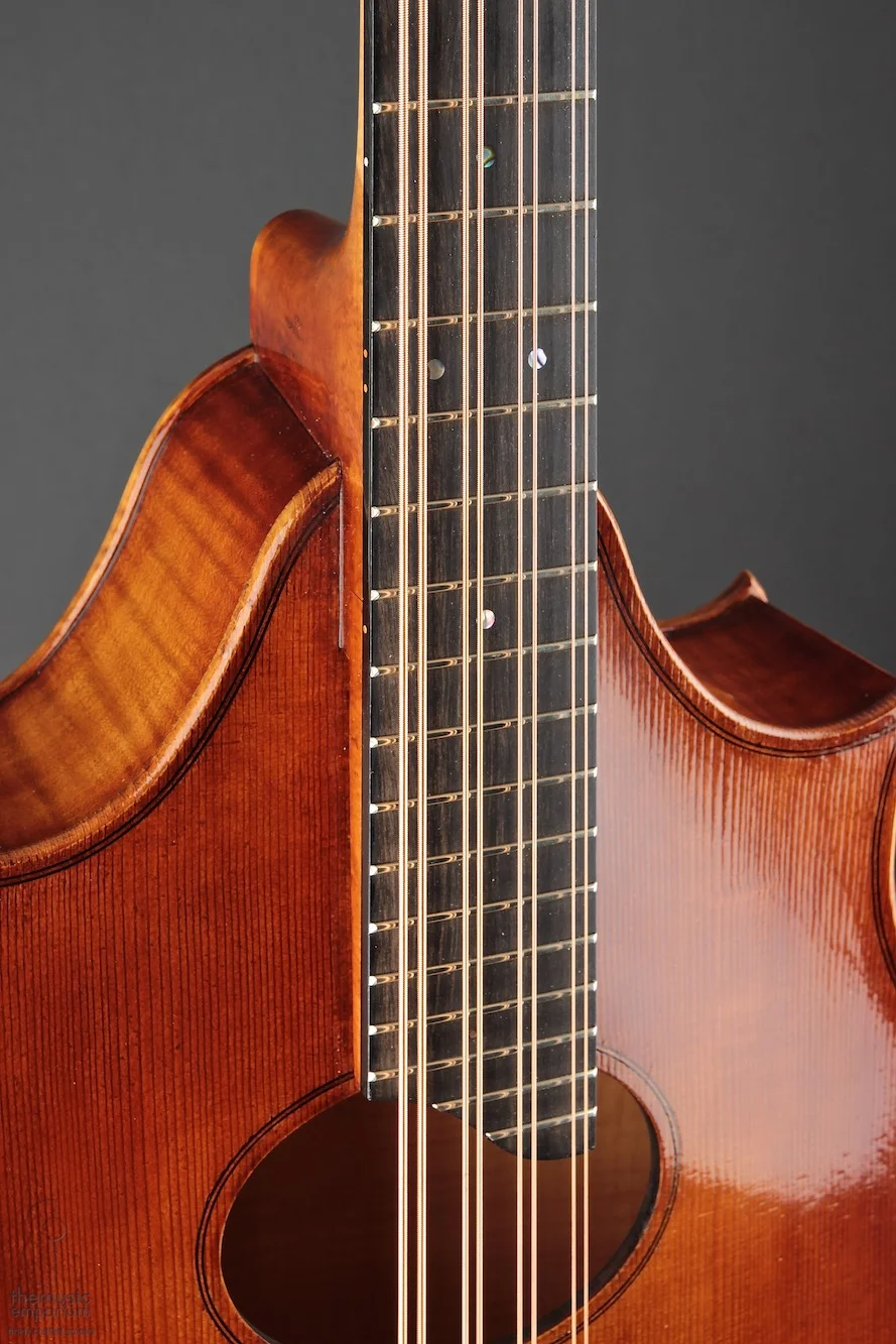 Dué Mandocello — Campanella Stringed Instruments