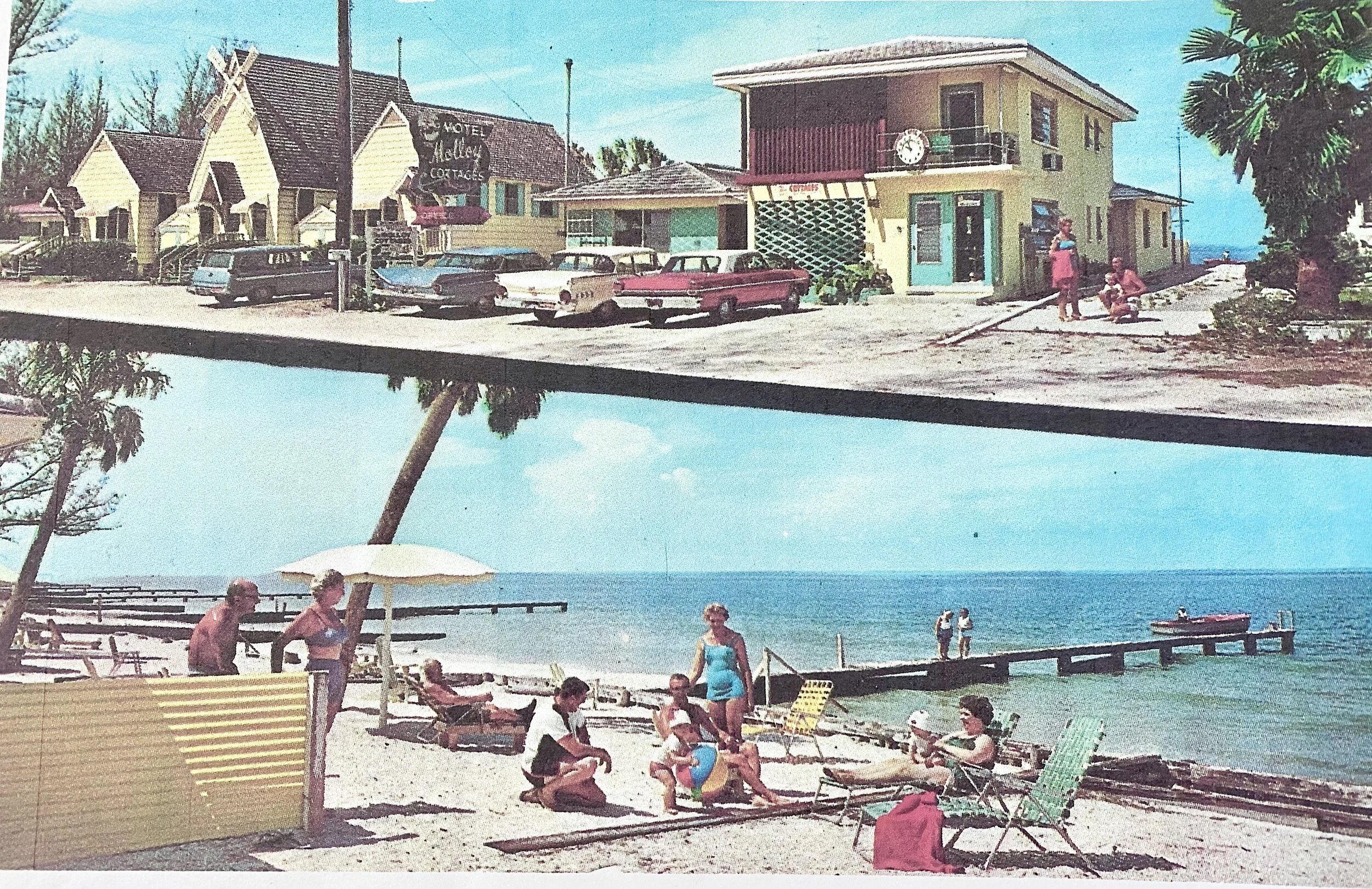 Our History — The Molloy