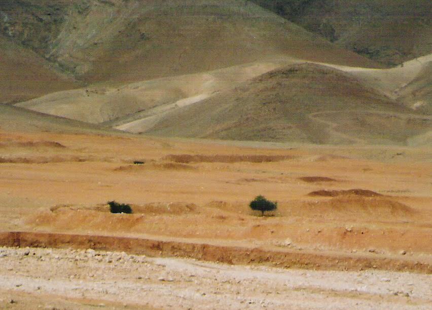 Jericho — Holy Land Tours | Good Shepherd Travel