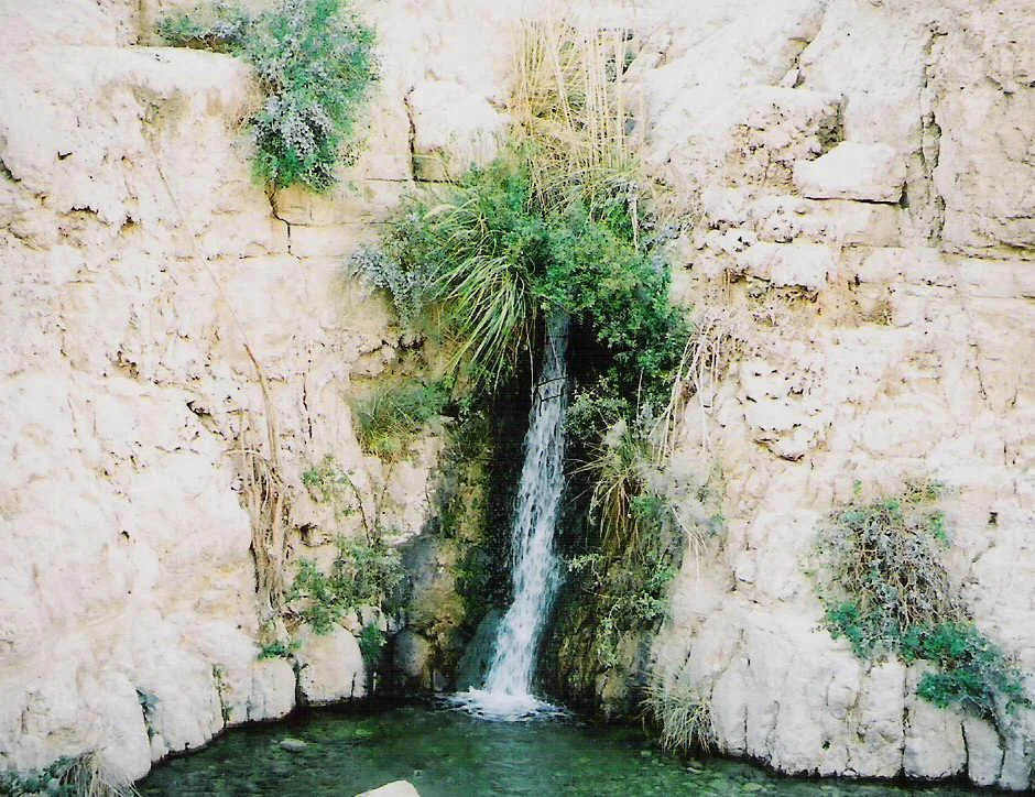 Ein Gedi — Holy Land Tours | Good Shepherd Travel