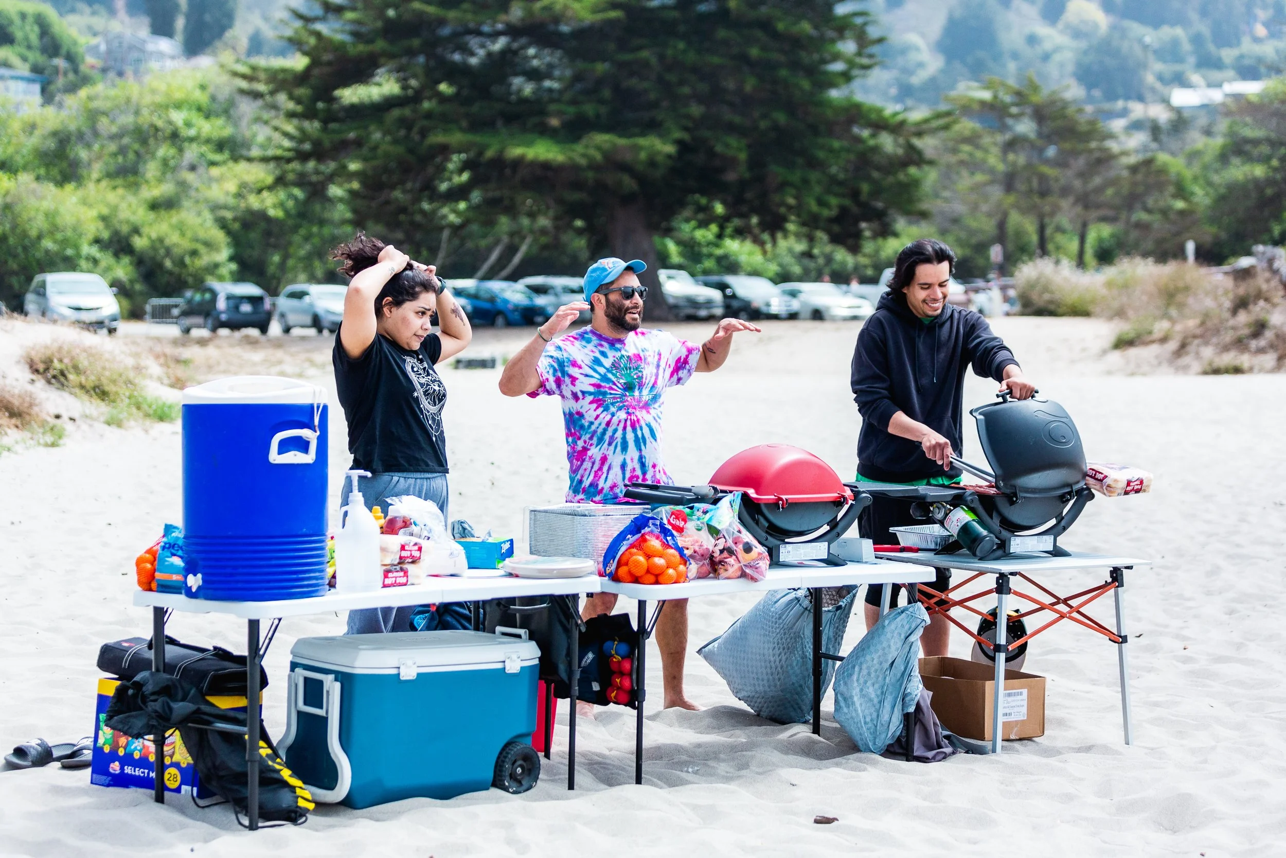 Volunteer — Project Avary