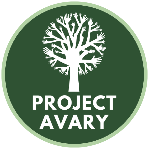 Project Avary