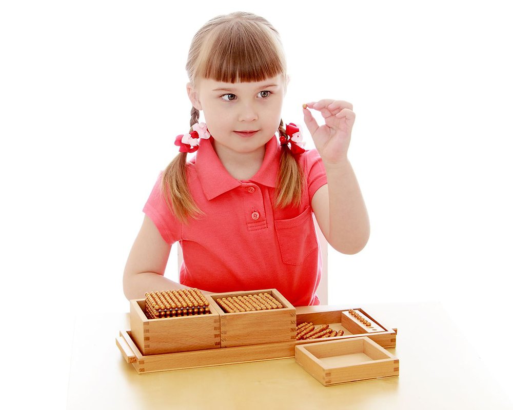 Class — Upstate Montessori Academy, Greenville SC