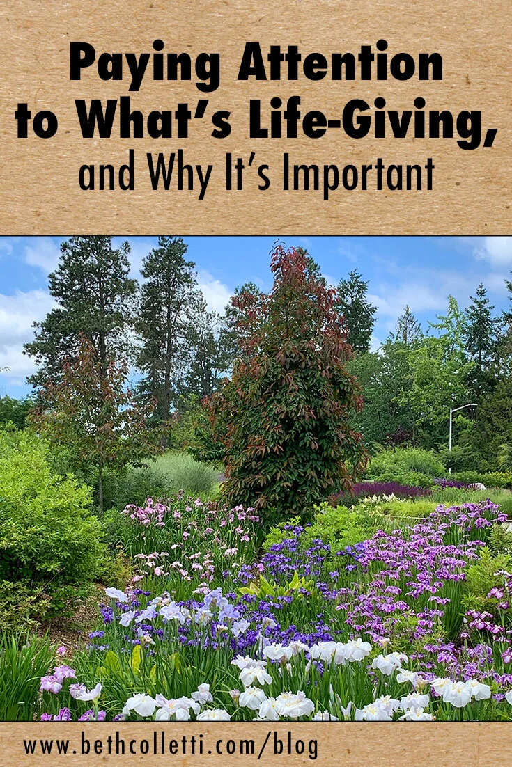 Paying Attention to What’s Life-Giving, and Why It’s Important — Beth ...