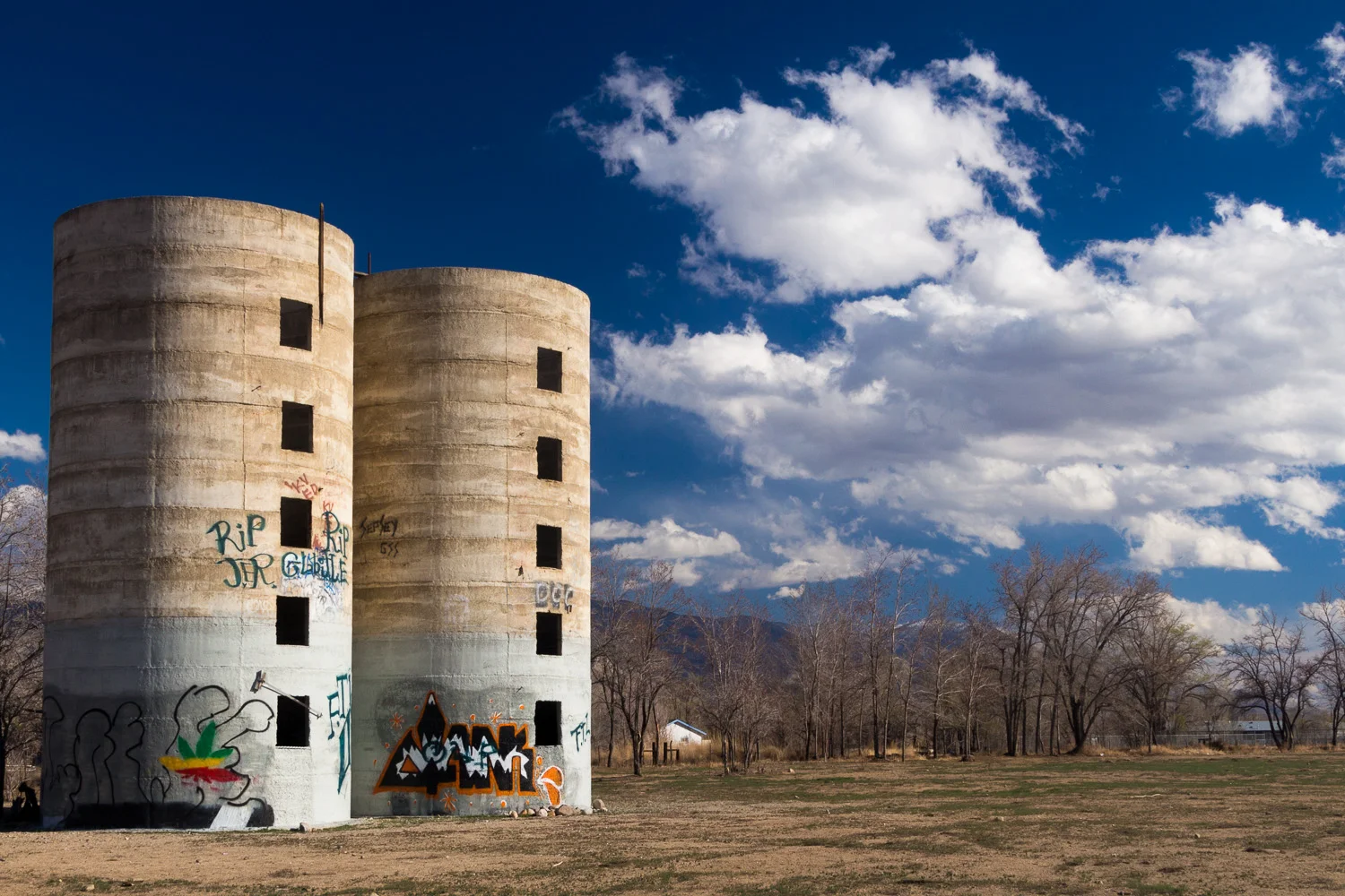 Lee Dyson PhotographyLee Dyson Photography