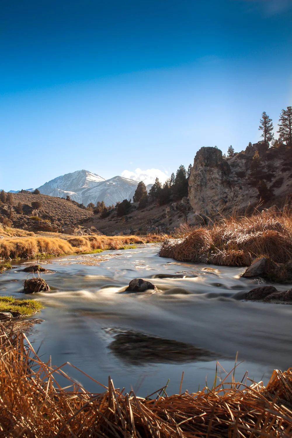 Lee Dyson PhotographyLee Dyson Photography