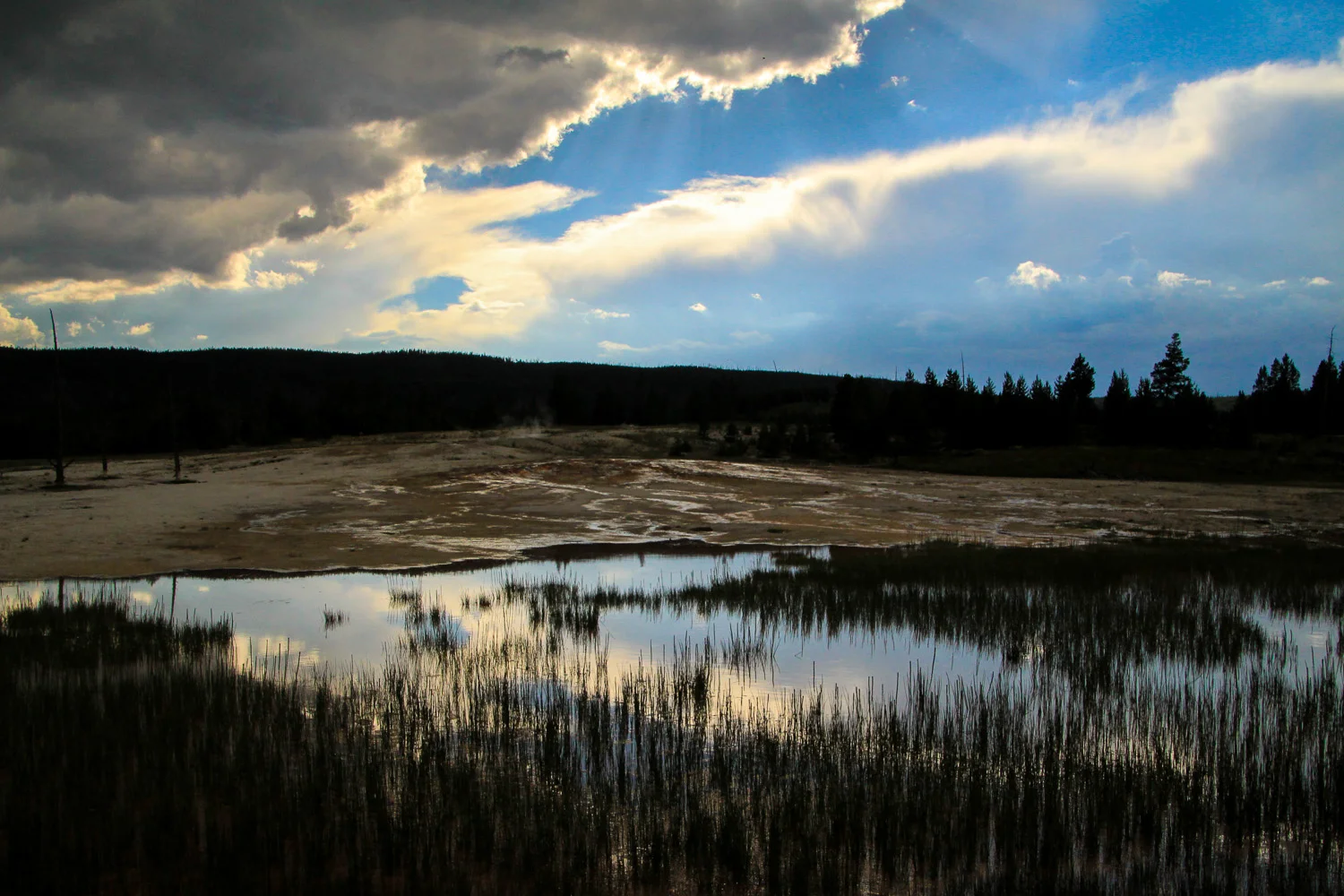 Lee Dyson PhotographyLee Dyson Photography