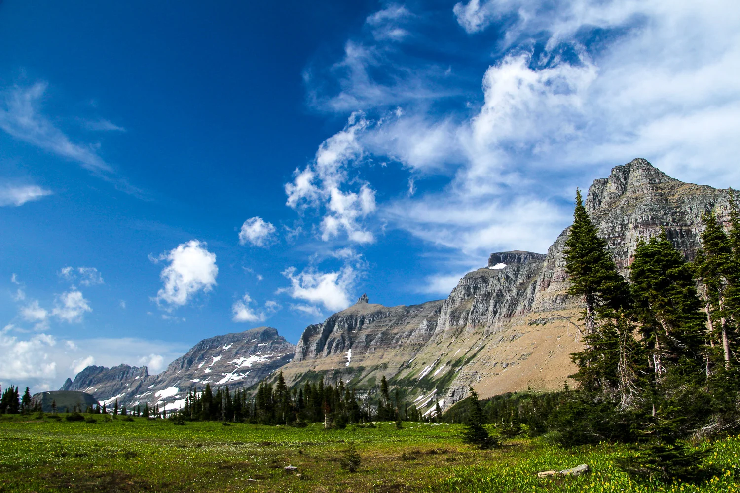 Lee Dyson PhotographyLee Dyson Photography