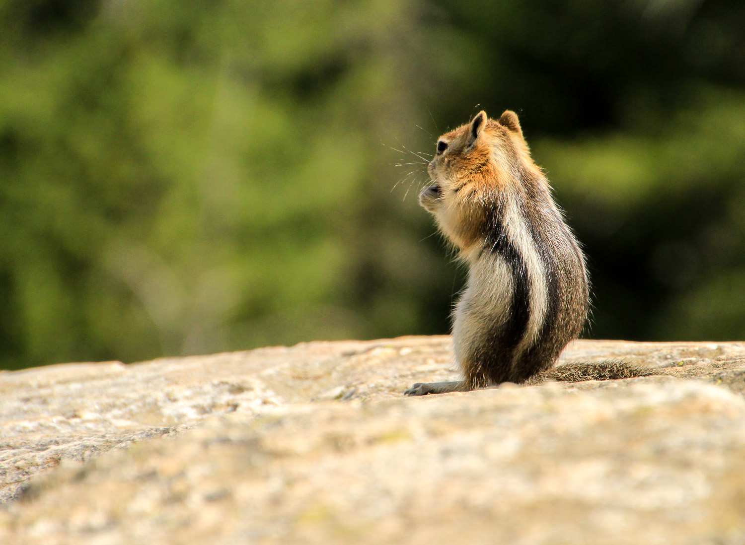 Lee Dyson PhotographyLee Dyson Photography