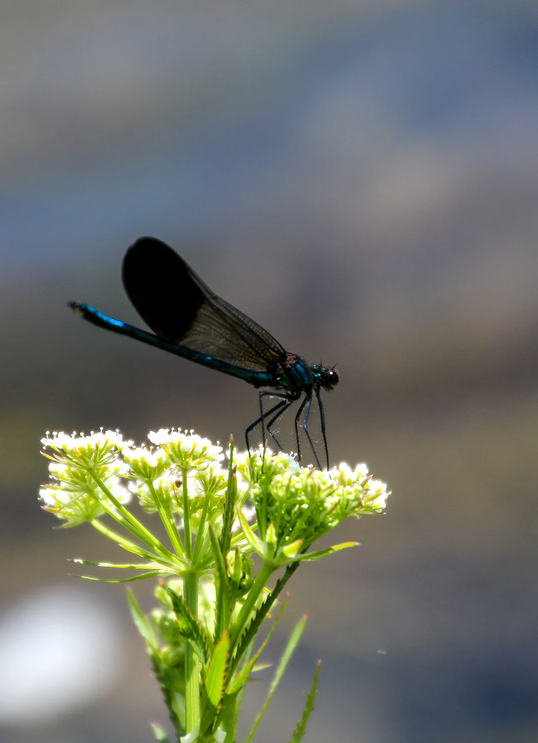 Lee Dyson PhotographyLee Dyson Photography