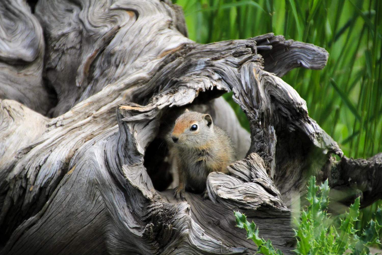 Lee Dyson PhotographyLee Dyson Photography