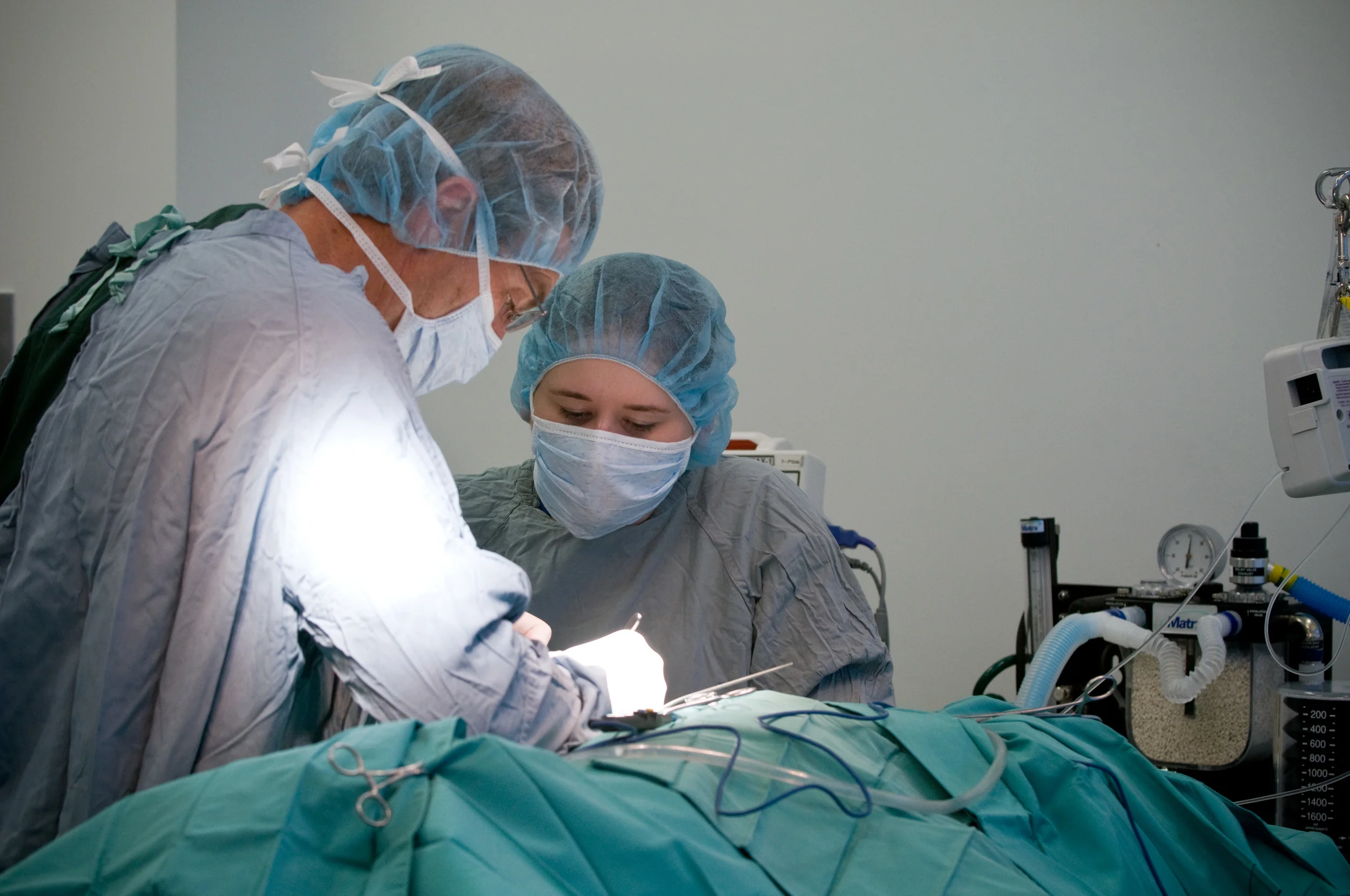 Surgery — Veterinary Medical Center of CNY
