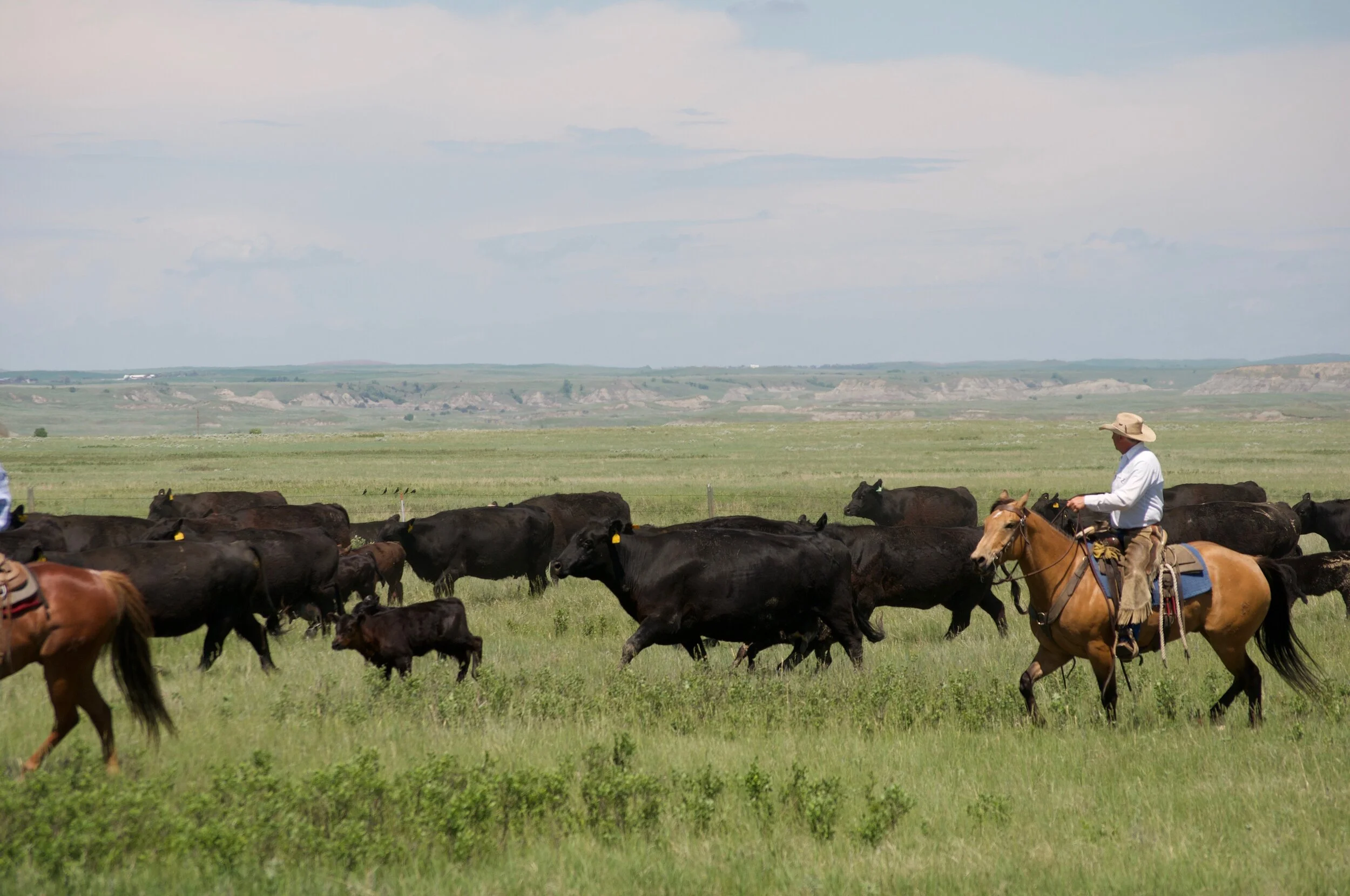 Beautiful Landscapes — Lemmon SD