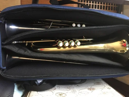 Trumpet Bags — Messina Covers