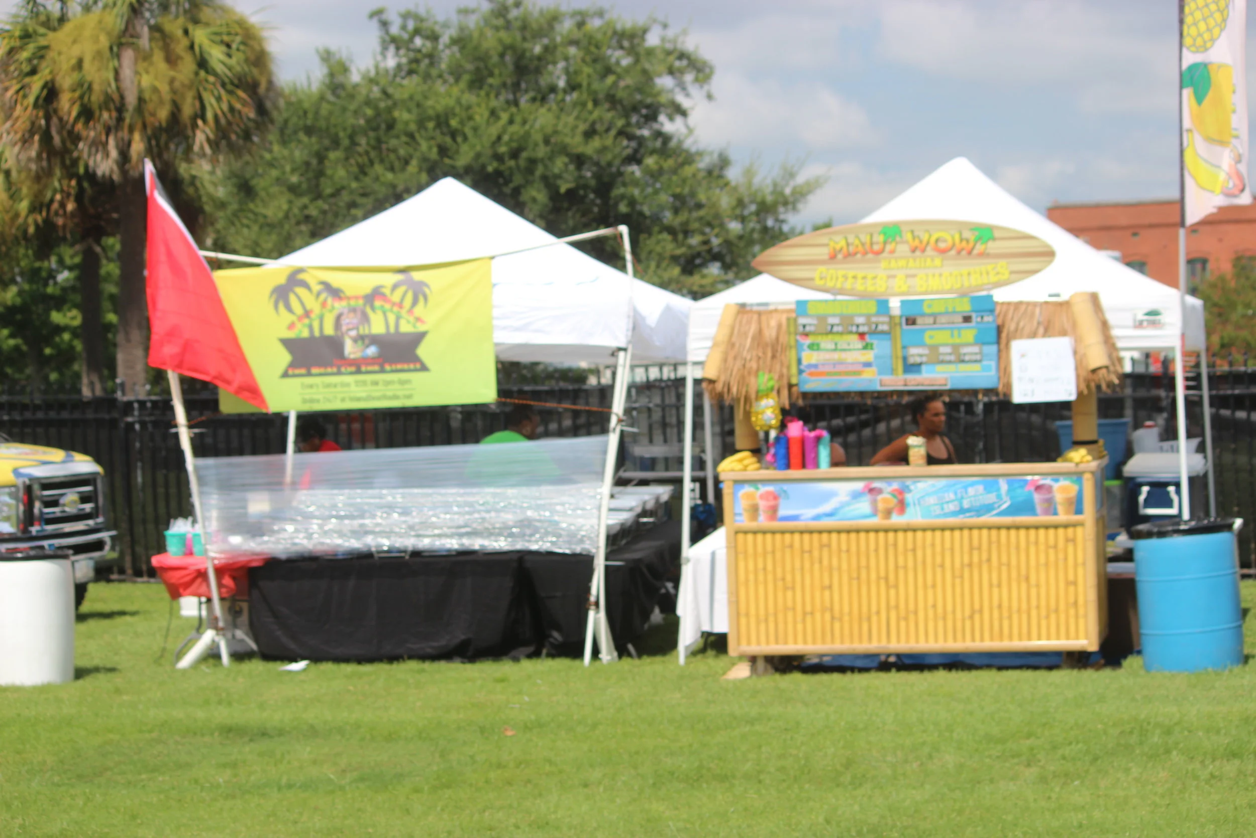 Jacksonville Caribbean Carnival 2017 — Weldon Ryan