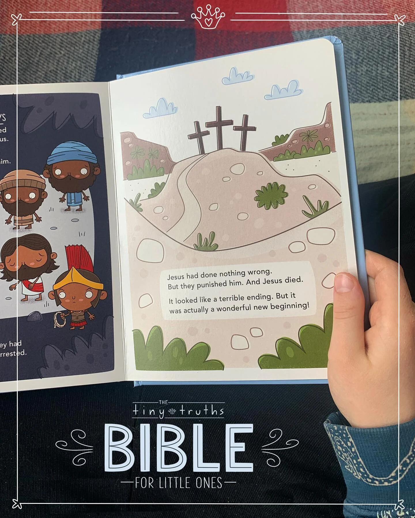 tiny truths illustrated bible