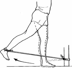 Basic Hip Strength Exercises — T2M Coaching