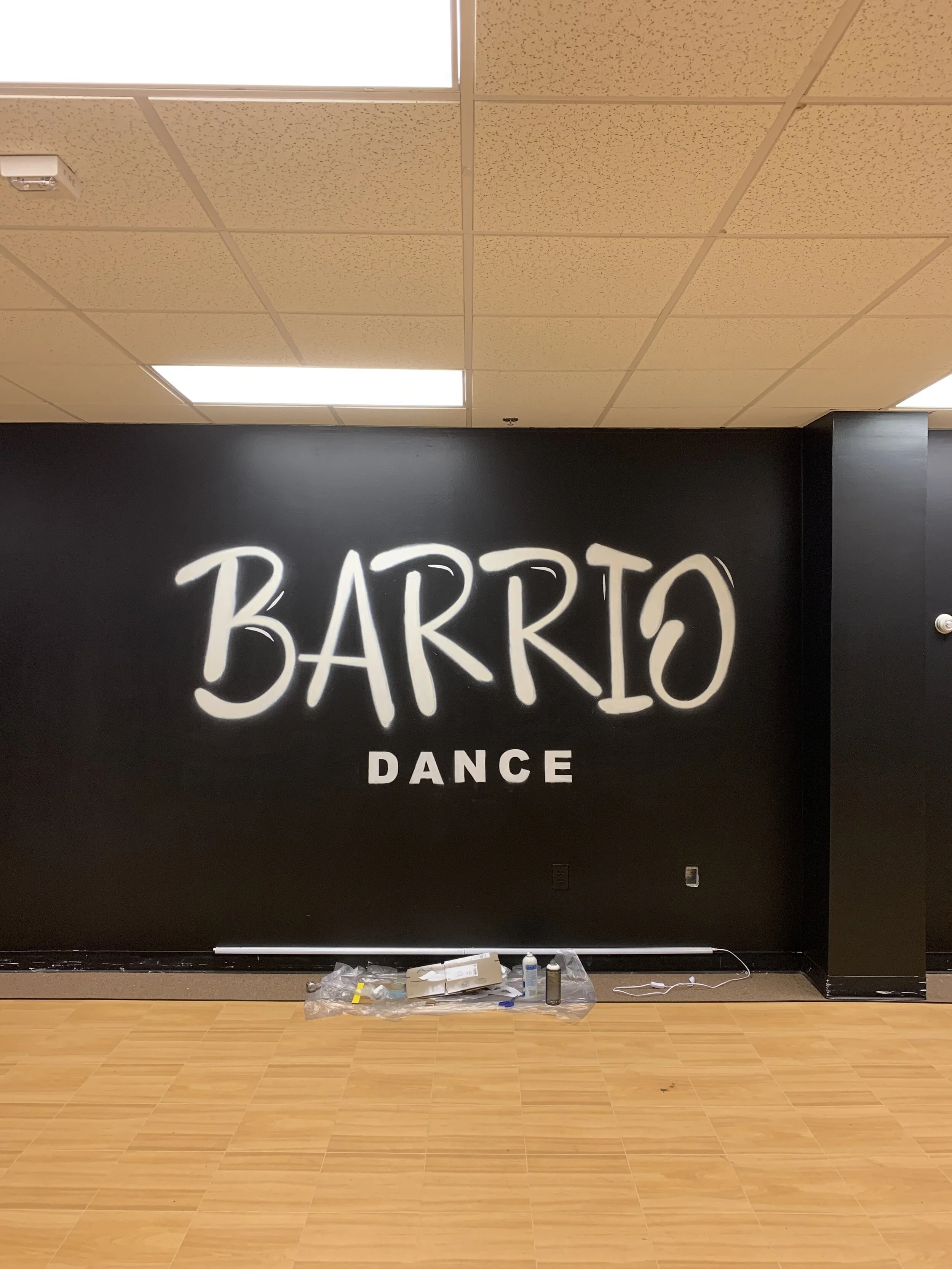 Barrio Dance - Madison, WI — Mike Lroy "Winters"