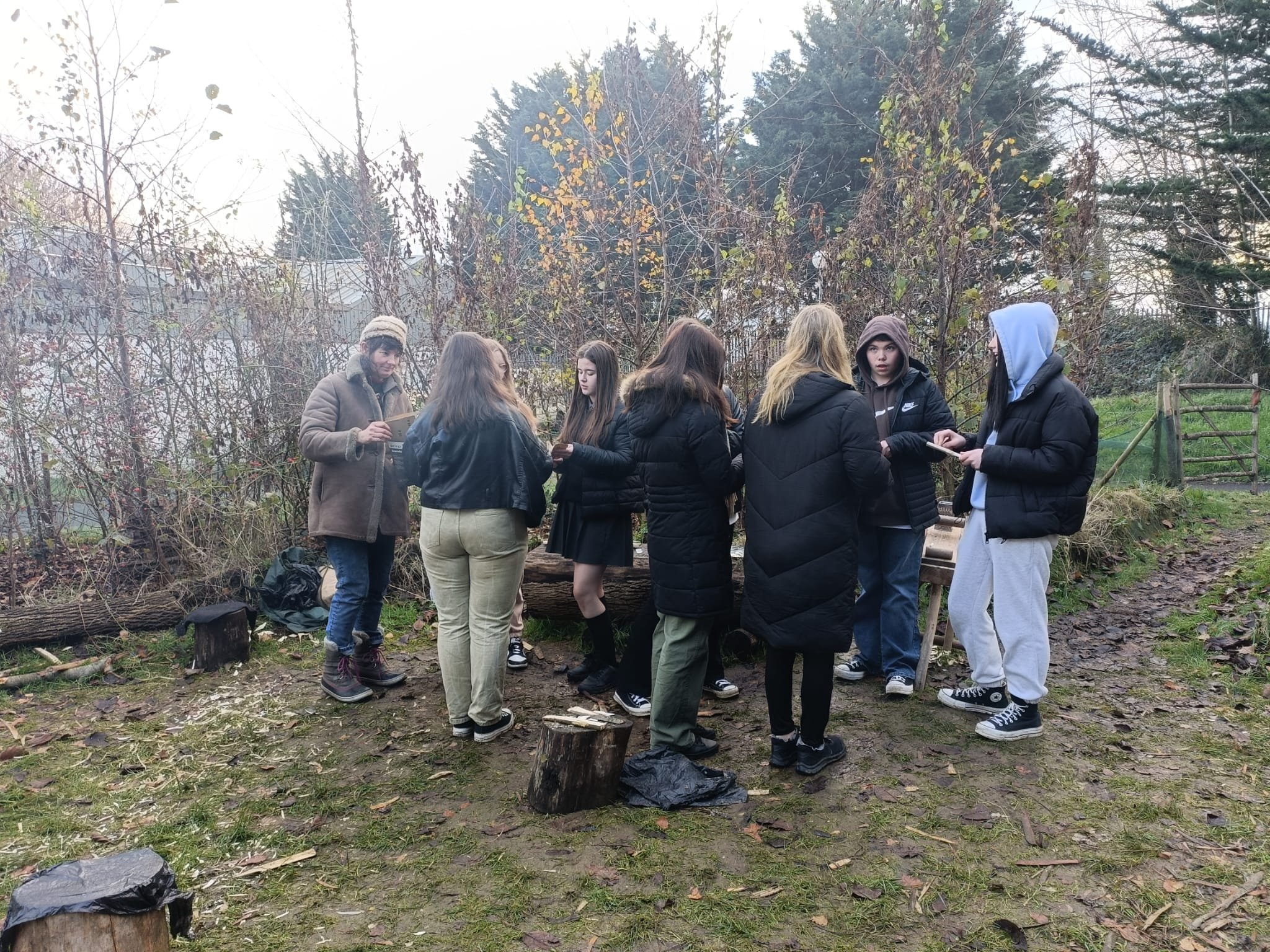 Microforest VI - Autumn 2023 - Superprojects