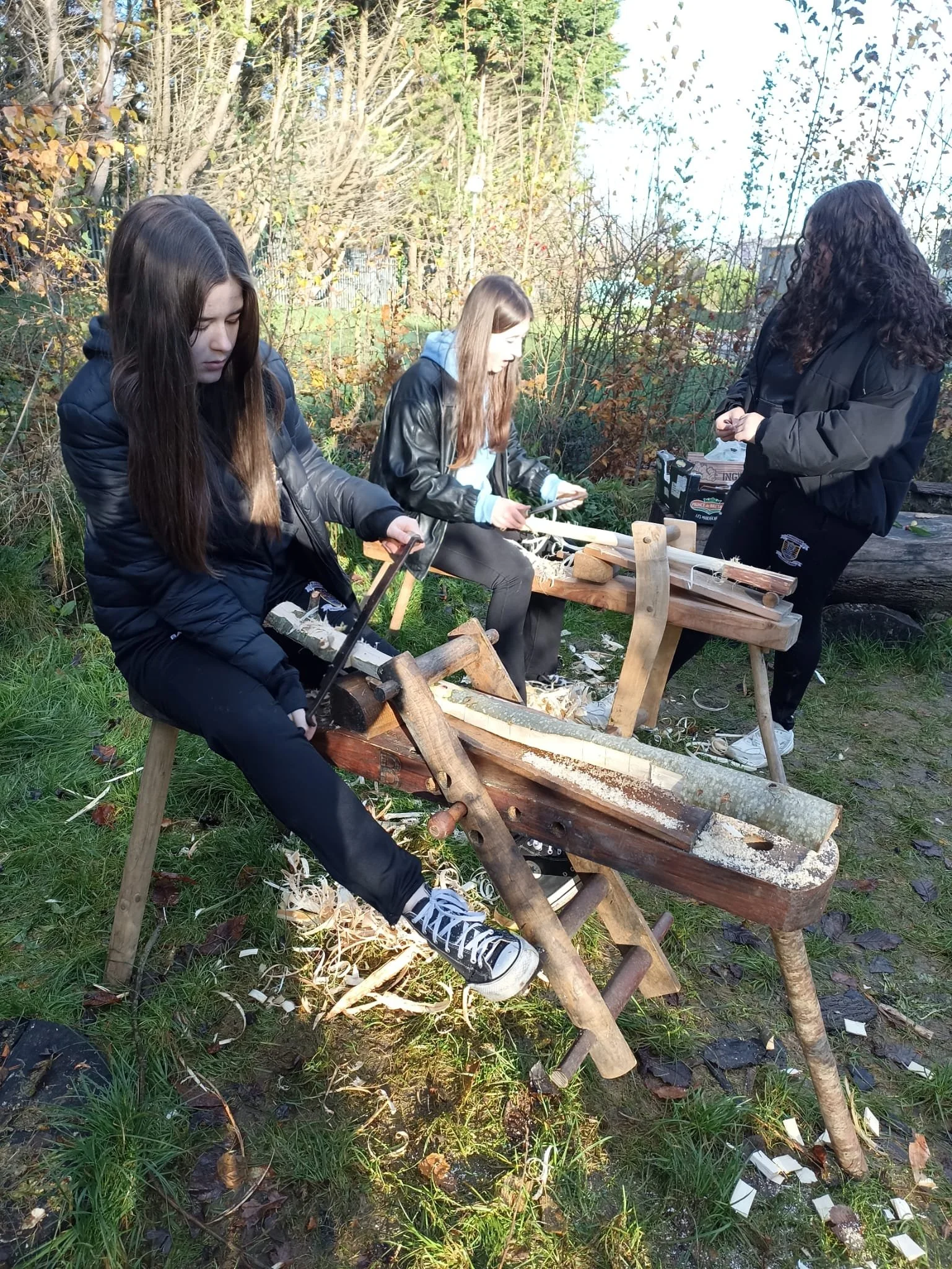 Microforest VI - Autumn 2023 - Superprojects