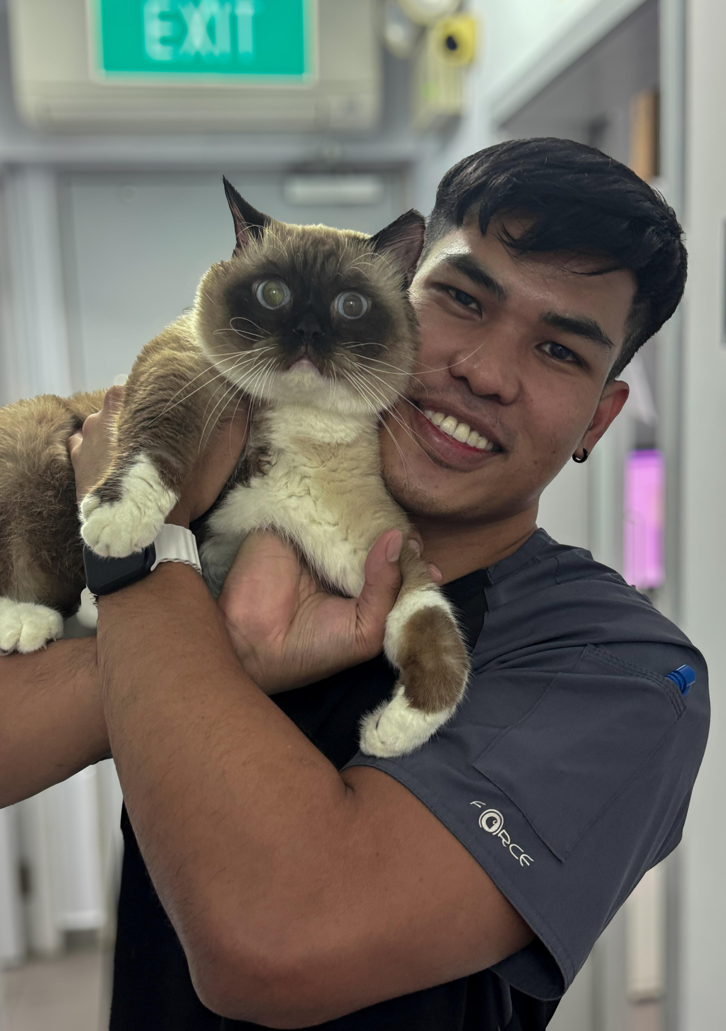 The Team Members- Monster Pet Vet