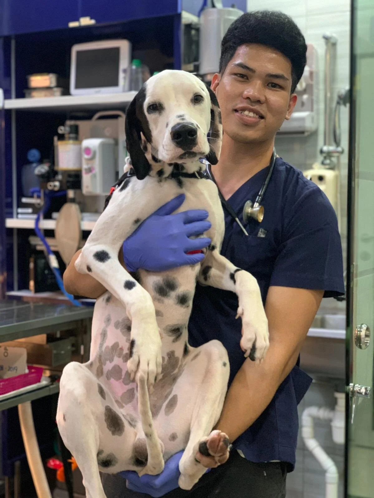 The Team Members- Monster Pet Vet