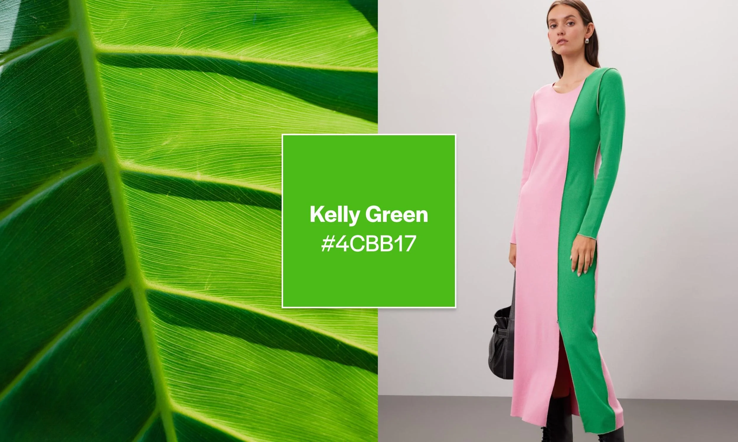 Kelly Green: The Color of Fresh Starts and Bold Statements — Color ...