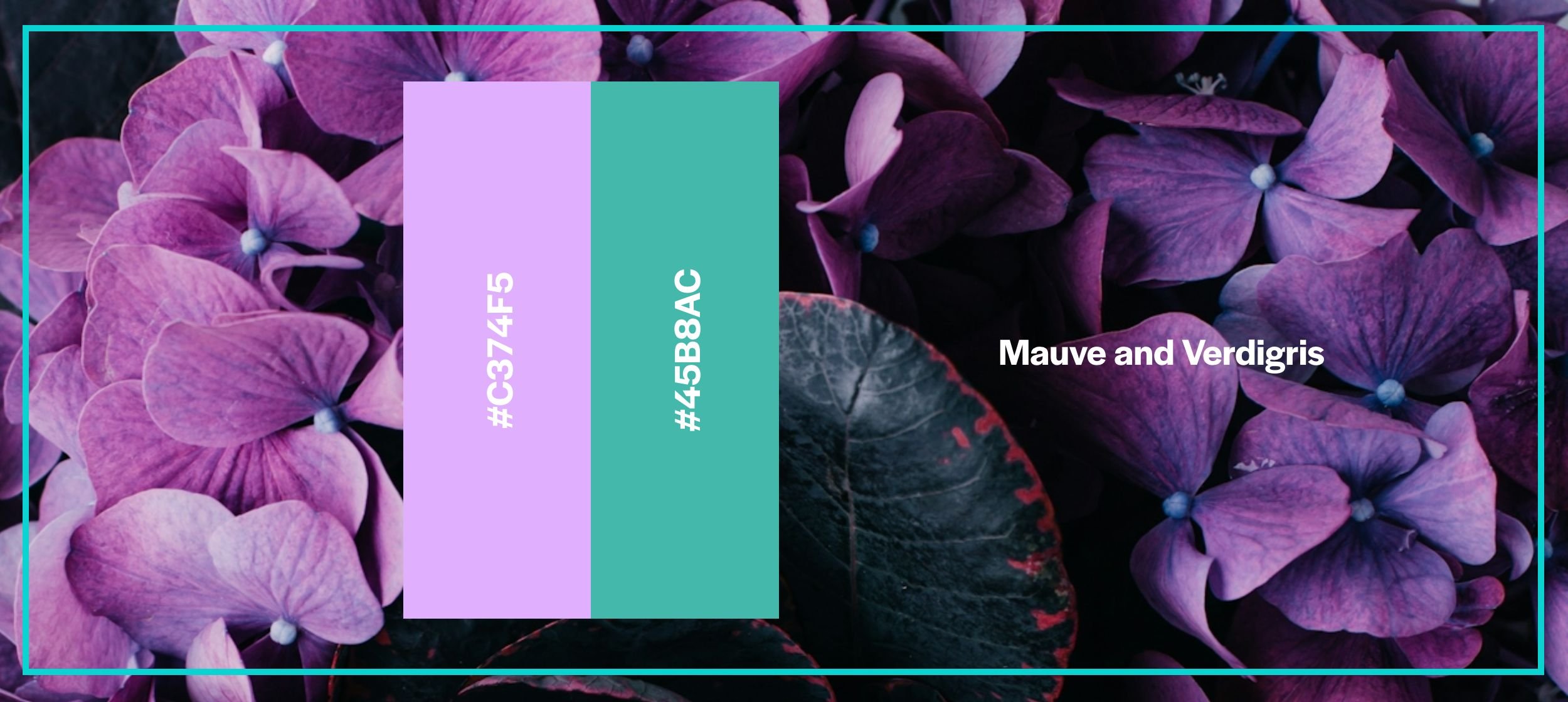 Mauve: The Serendipitous Shade with a Scandalous Past — Color Colour ...