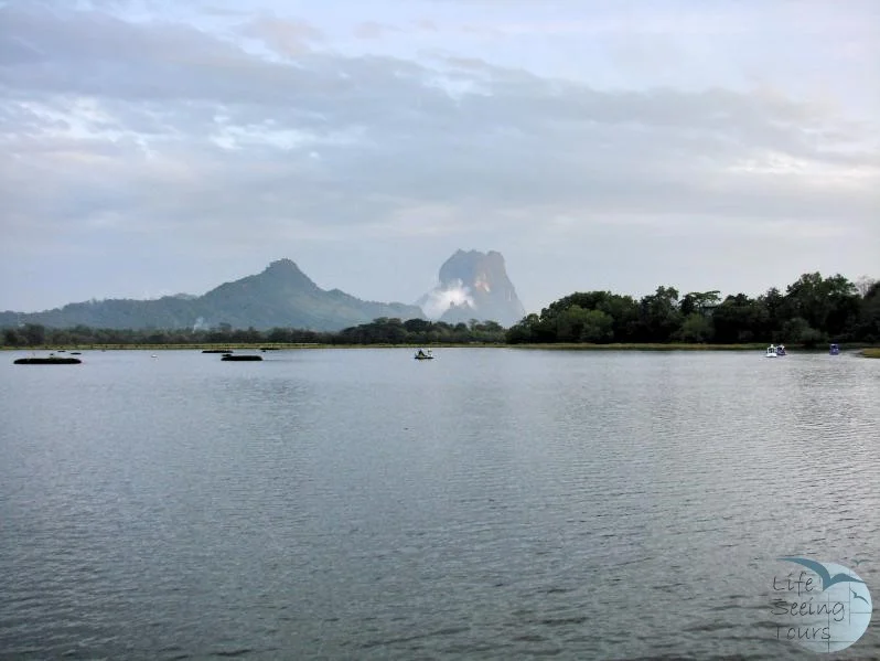 Hiking to Mount Zwekabin — Life Seeing Tours
