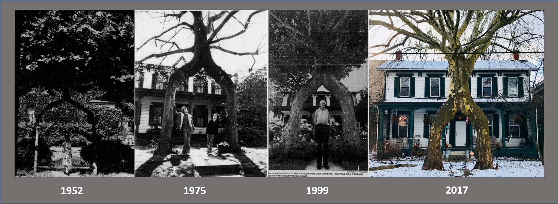 Sheraden Homestead Nominated to become a City Historic Landmark ...