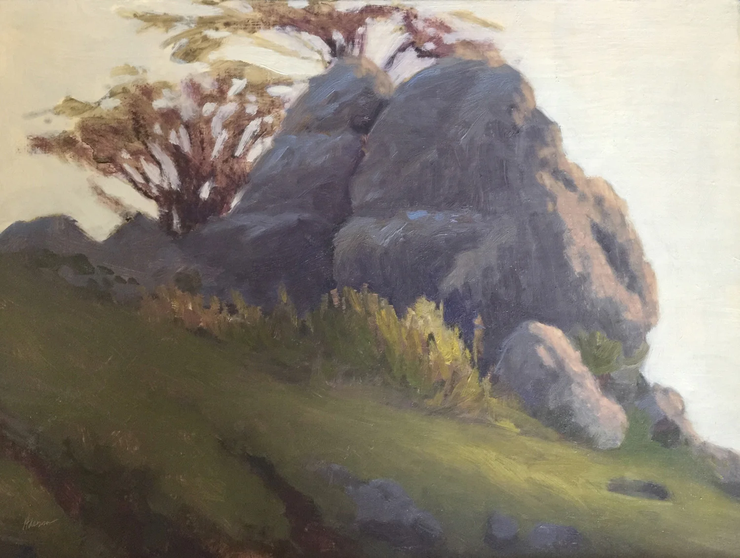 Terrain 2017 — STUDIO Gallery