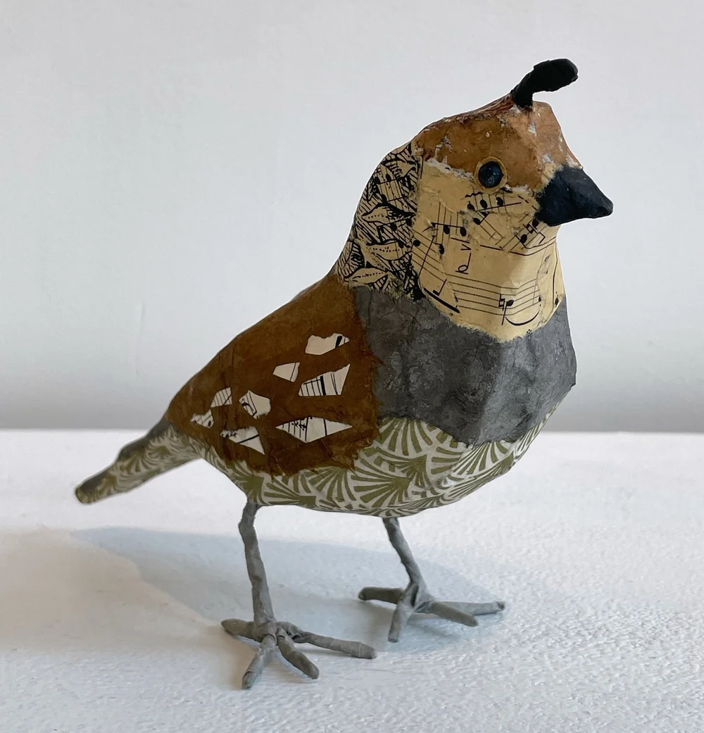 Female Quail