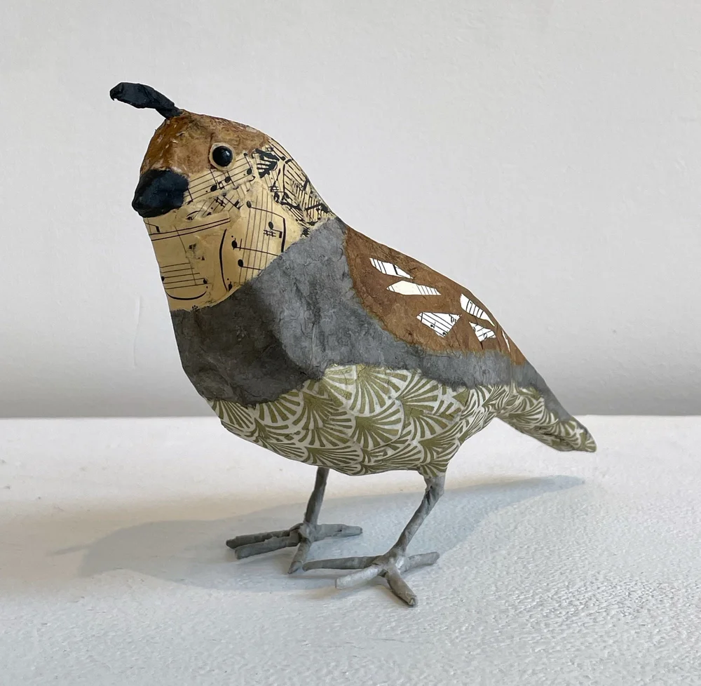Female Quail