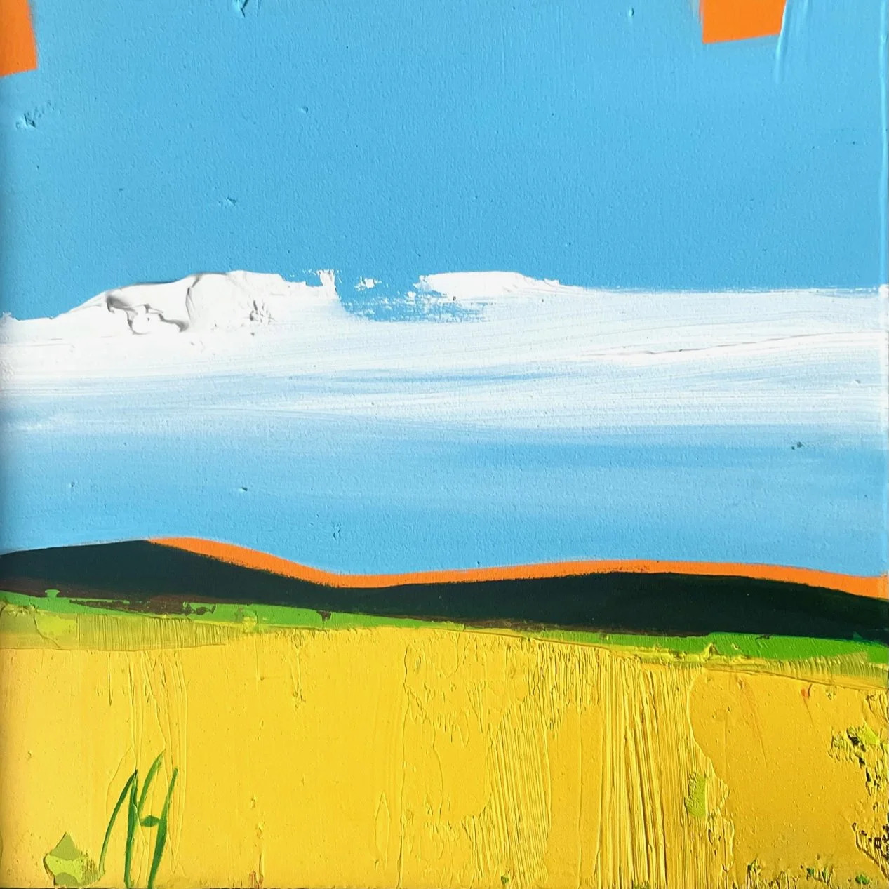 Tiny Collection - Nancy Hartley — STUDIO Gallery