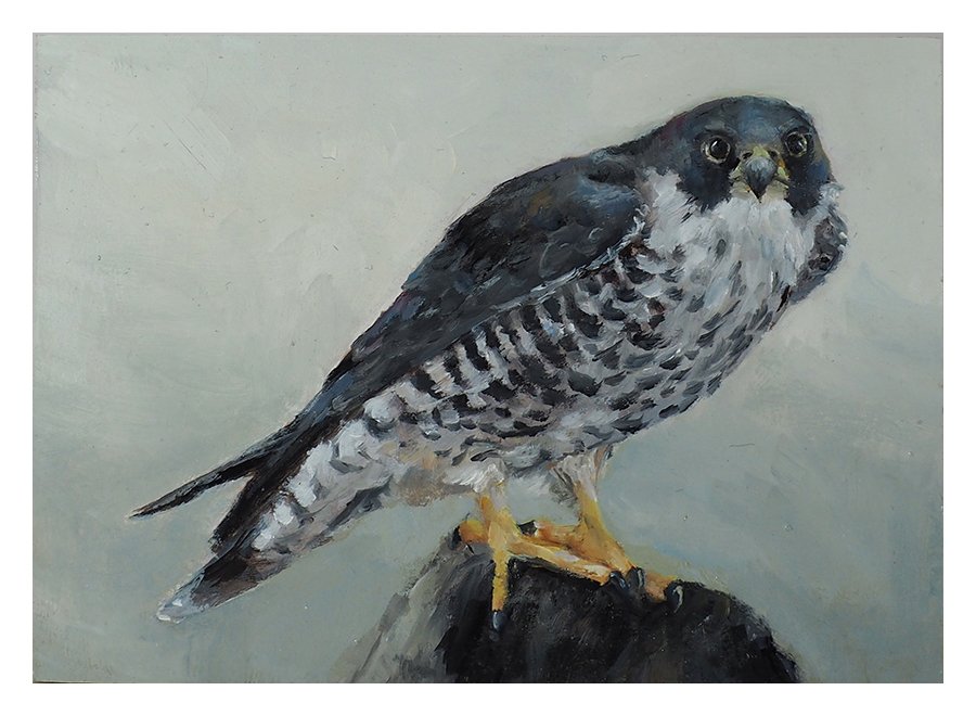 tiny 2024 images 5 — STUDIO Gallery