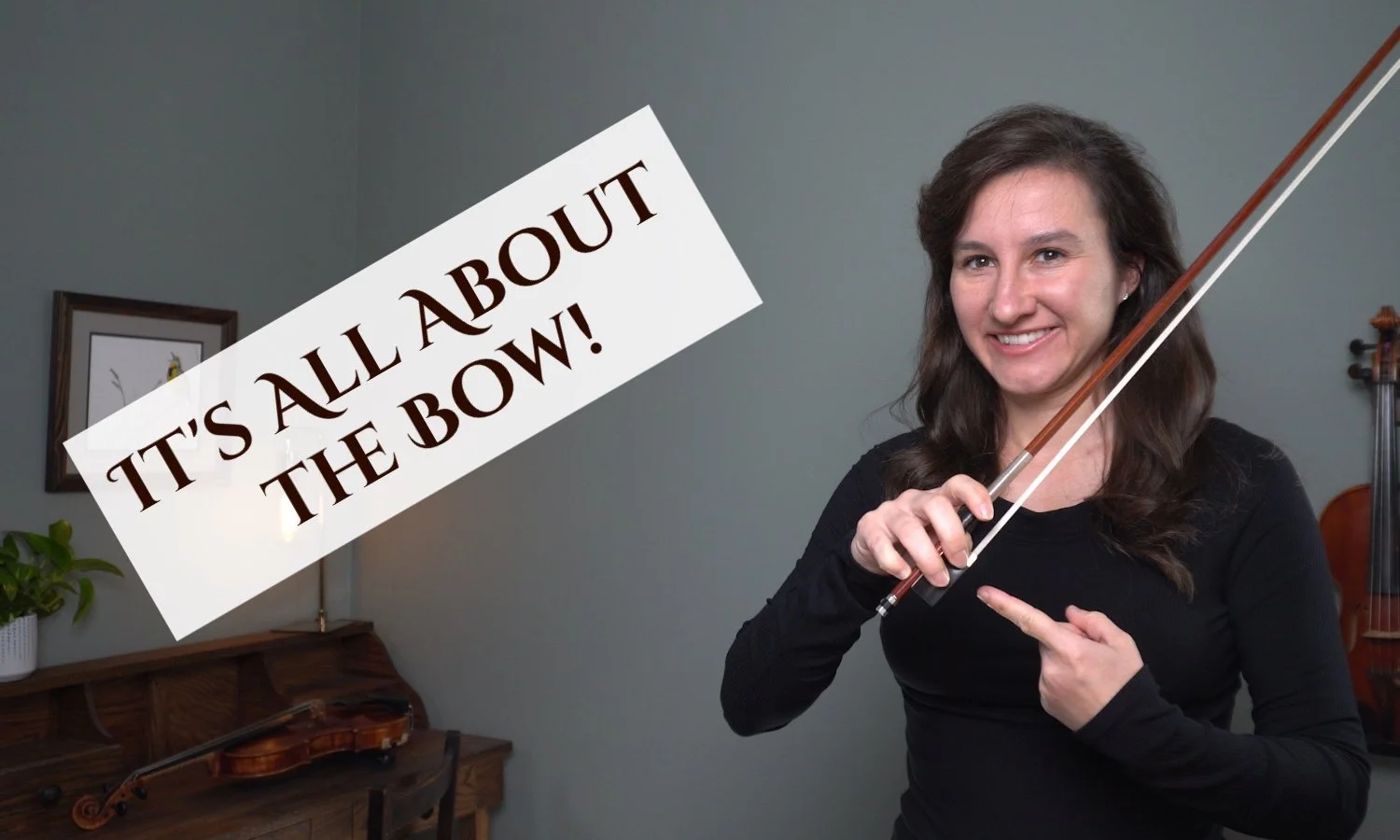 Best Violin Bows: A Violin Teacher’s Guide to Choosing the Right Bow ...