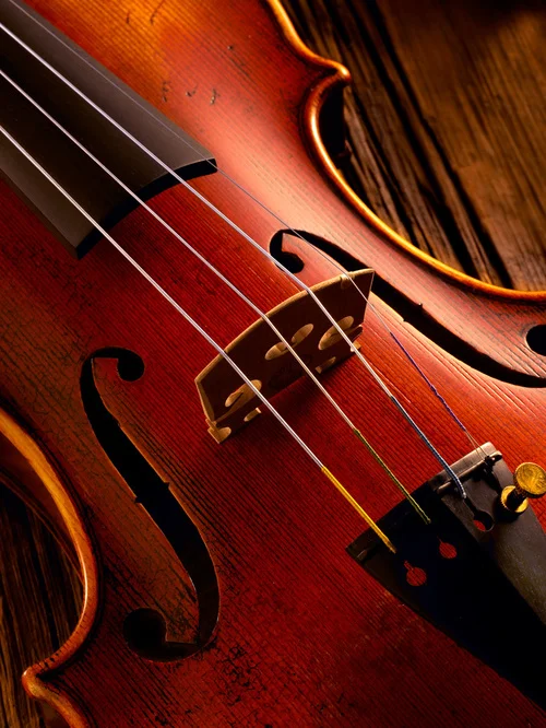 Online Violin Lessons — Meadowlark Violin Studio