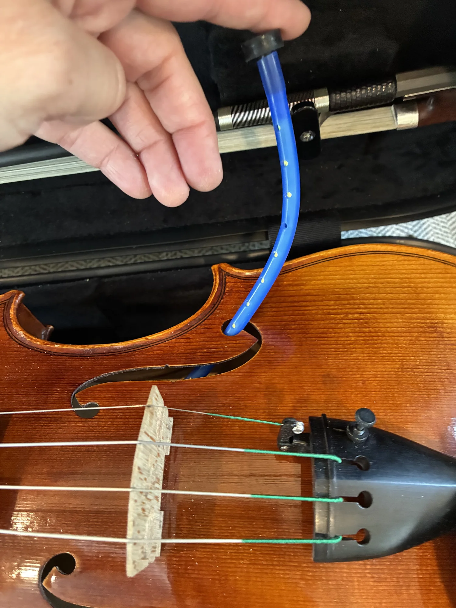 Master the Violin — Meadowlark Violin Studio