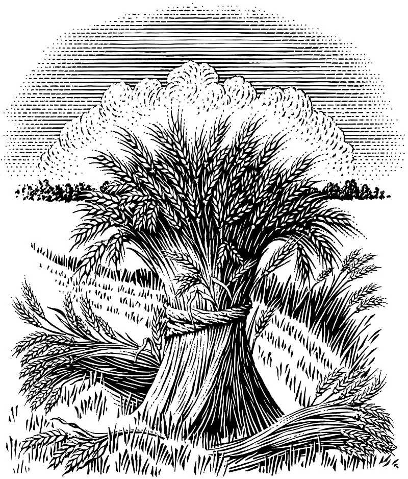 Portfolio Samples by Michael Halbert, INKART — Michael Halbert, INKART