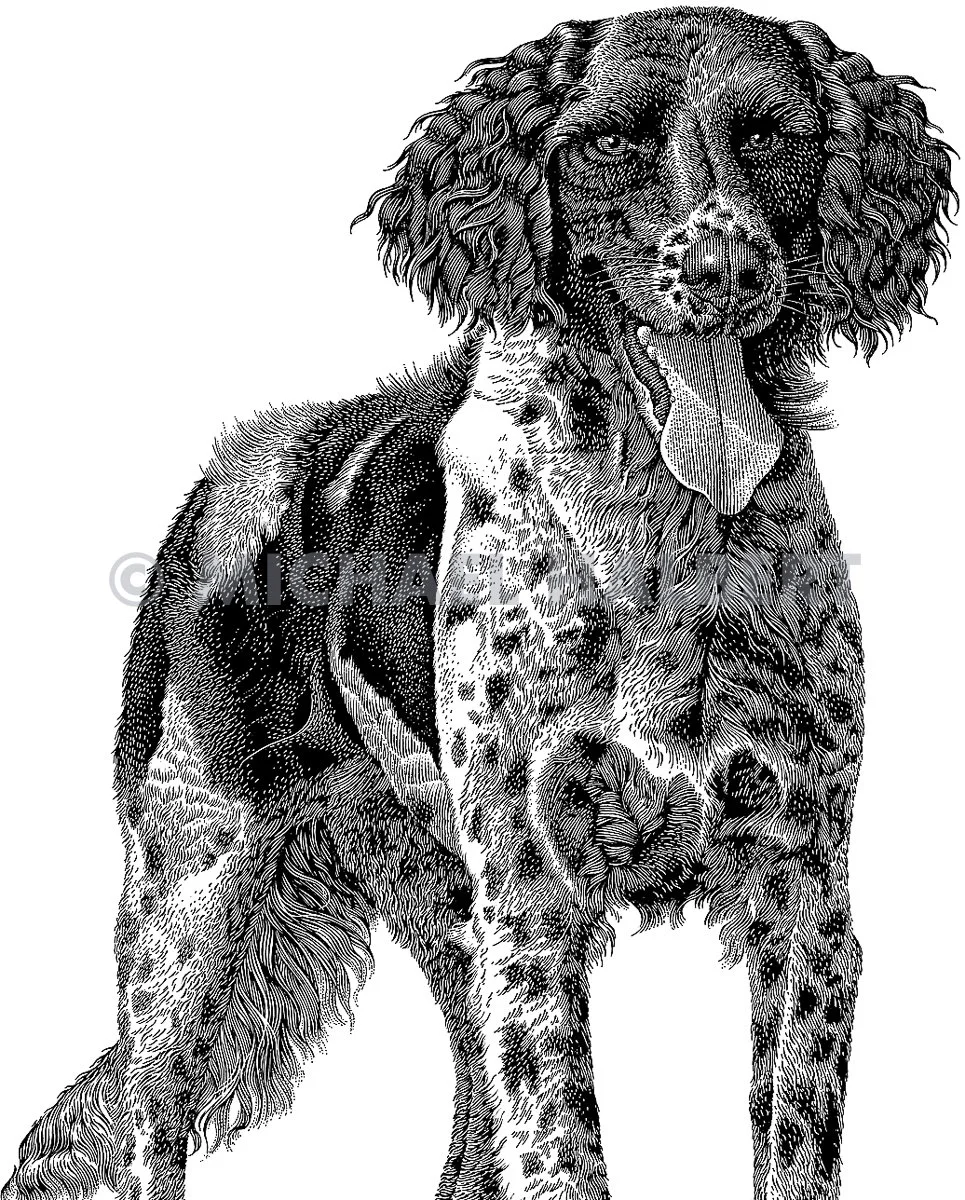 Michael Halbert, INKART