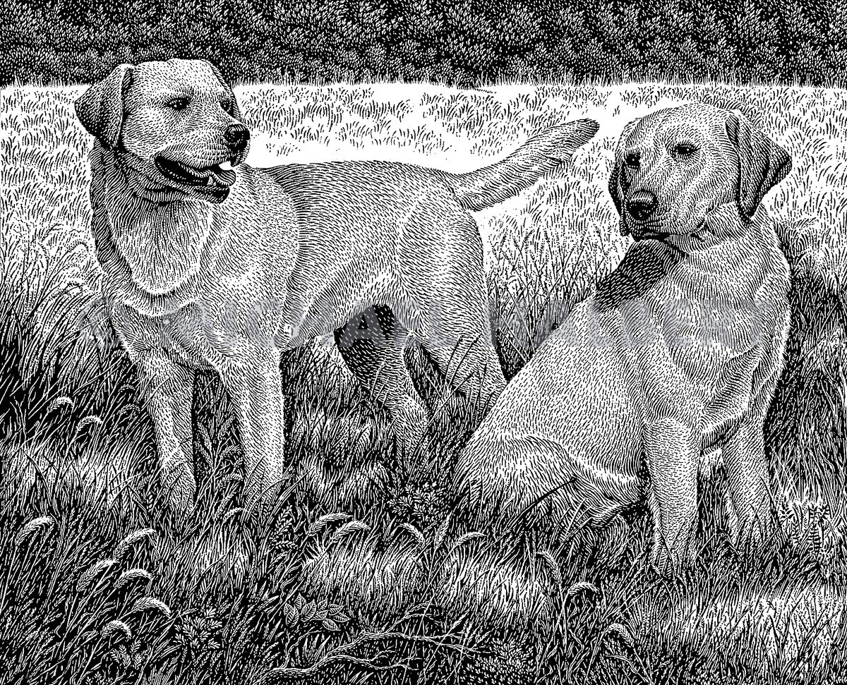 Michael Halbert, INKART