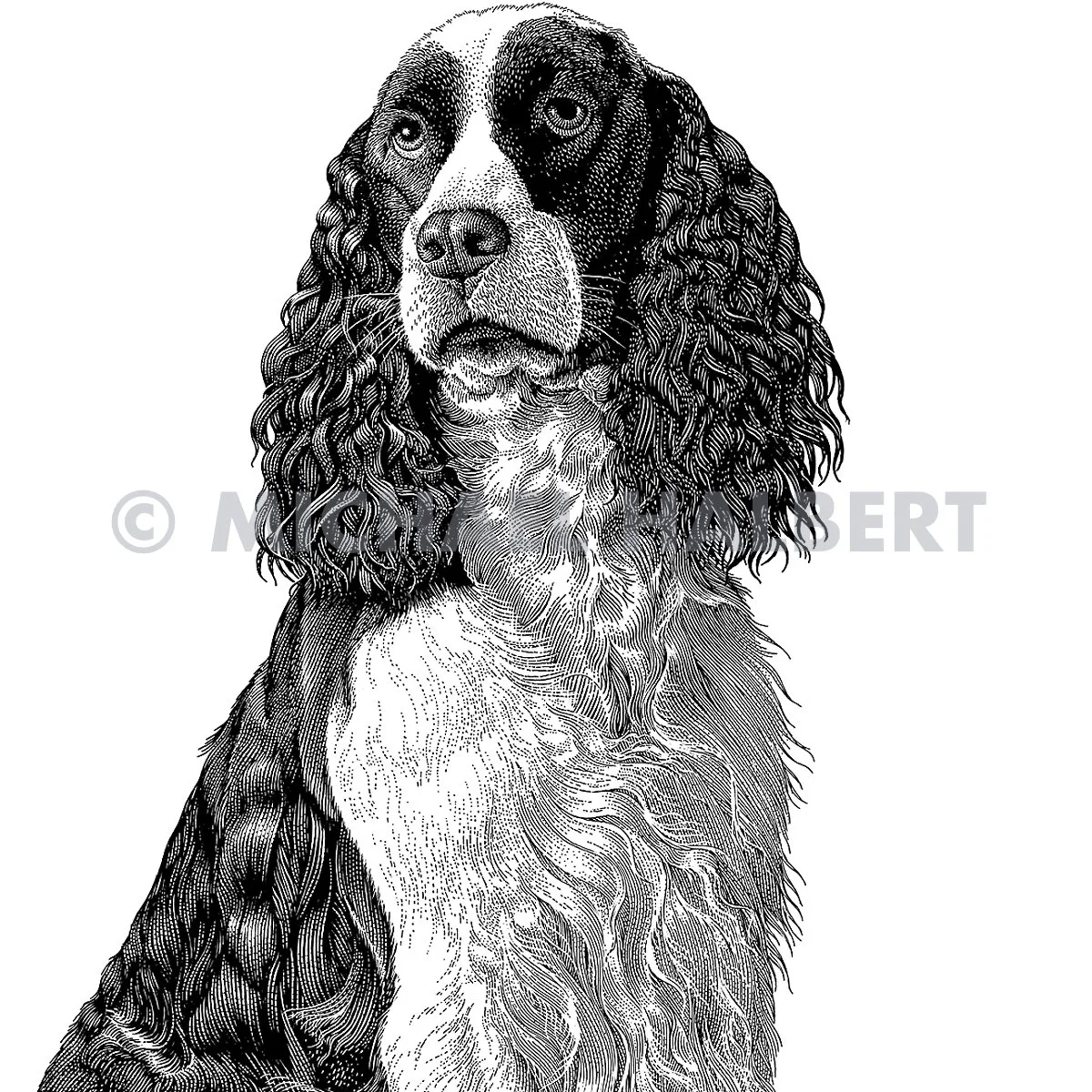 Portfolio Samples by Michael Halbert, INKART — Michael Halbert, INKART