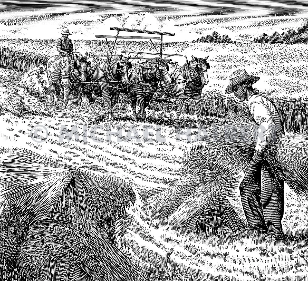 Portfolio Samples by Michael Halbert, INKART — INKART Studio