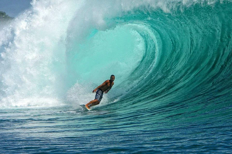 Your 2020 Surf Specials! — Surf The Earth