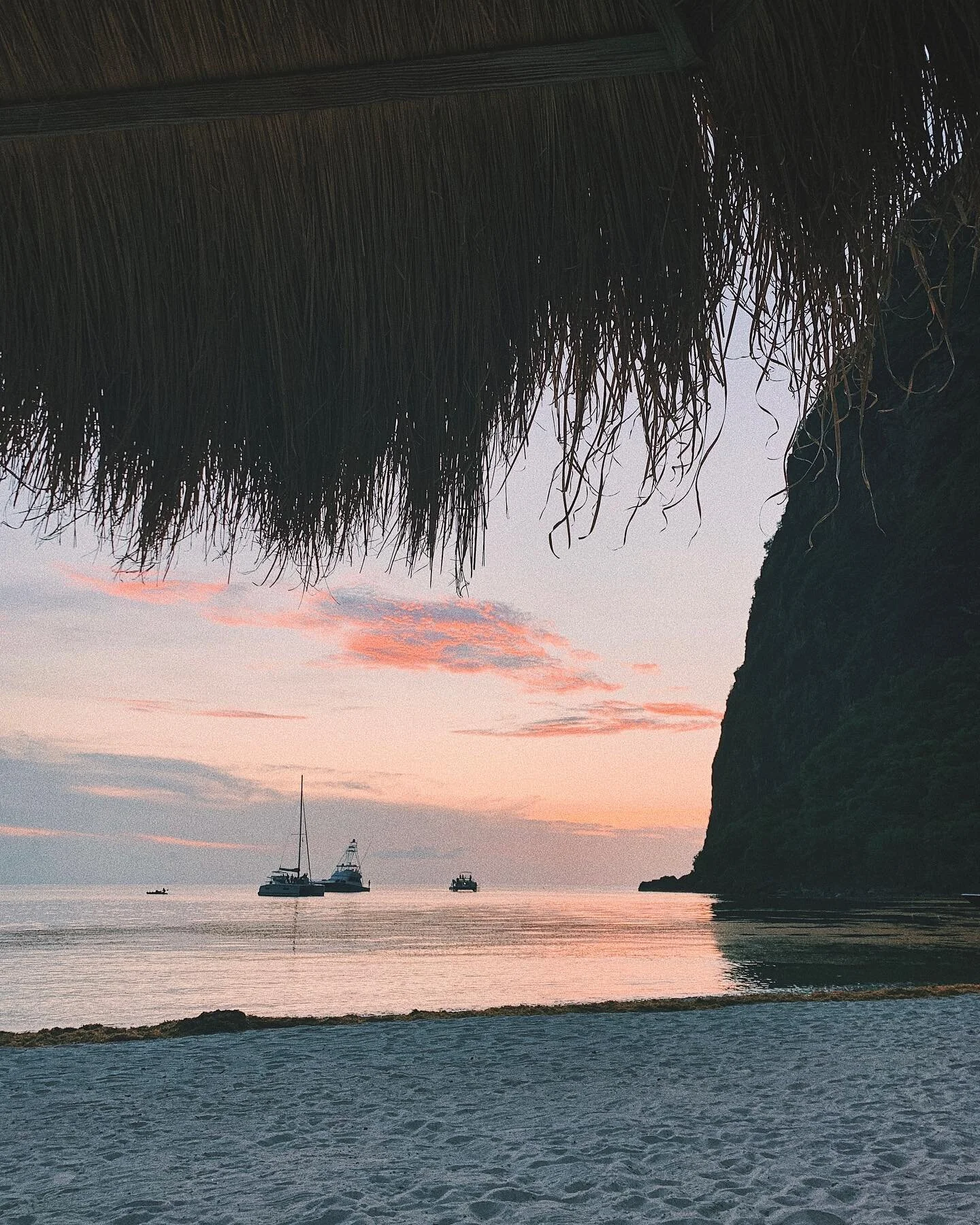 Book — Emily Lambert Photography