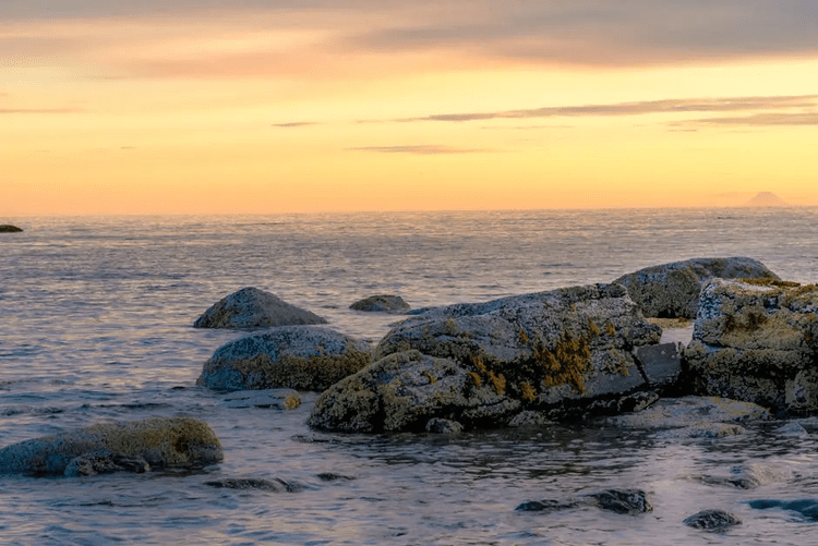 15 Reasons to Include Beluga Point in Your Alaska Itinerary — Anchorage ...