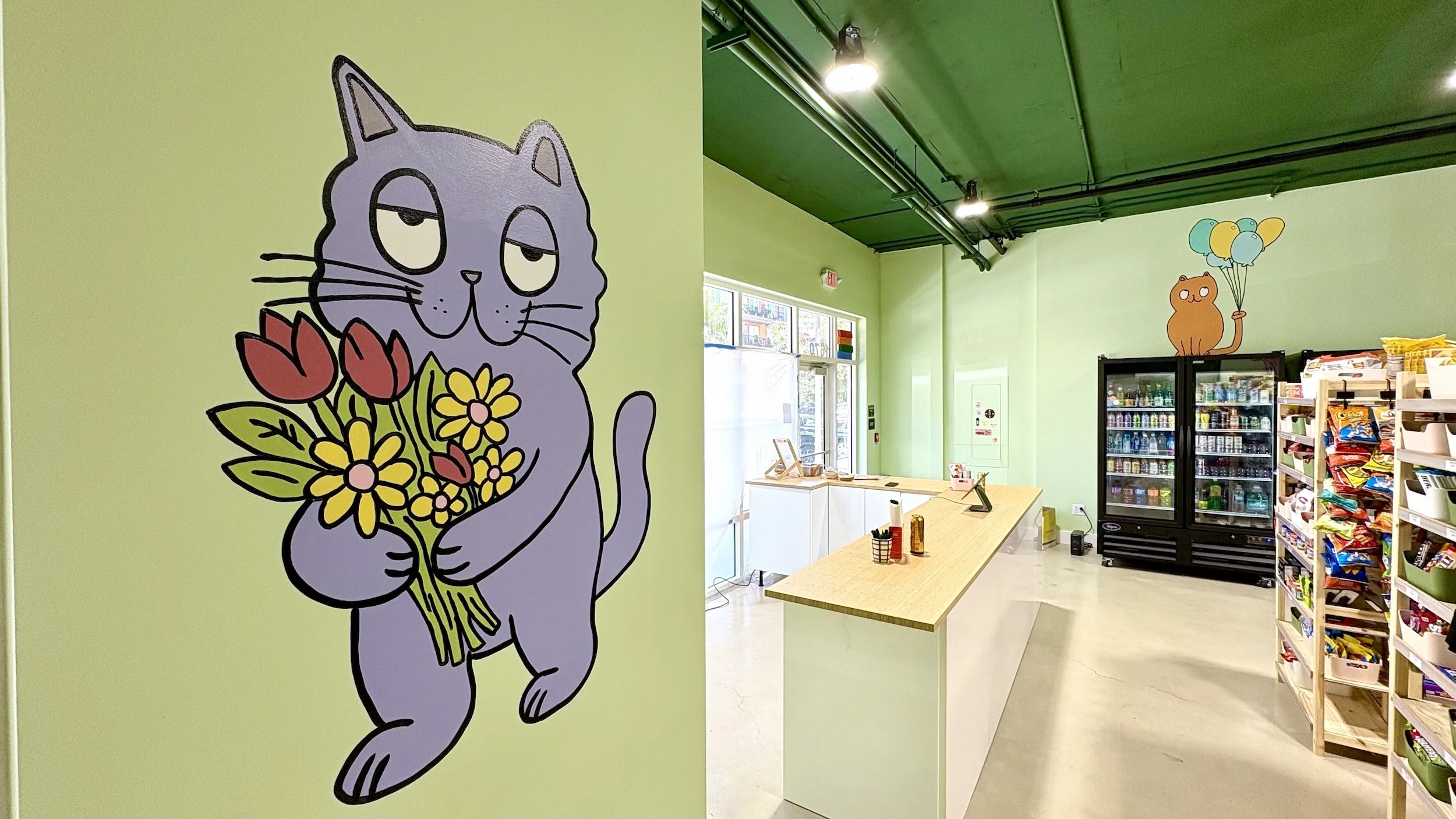 Duckweed Urban Grocery opens first St. Pete location in the Grand ...