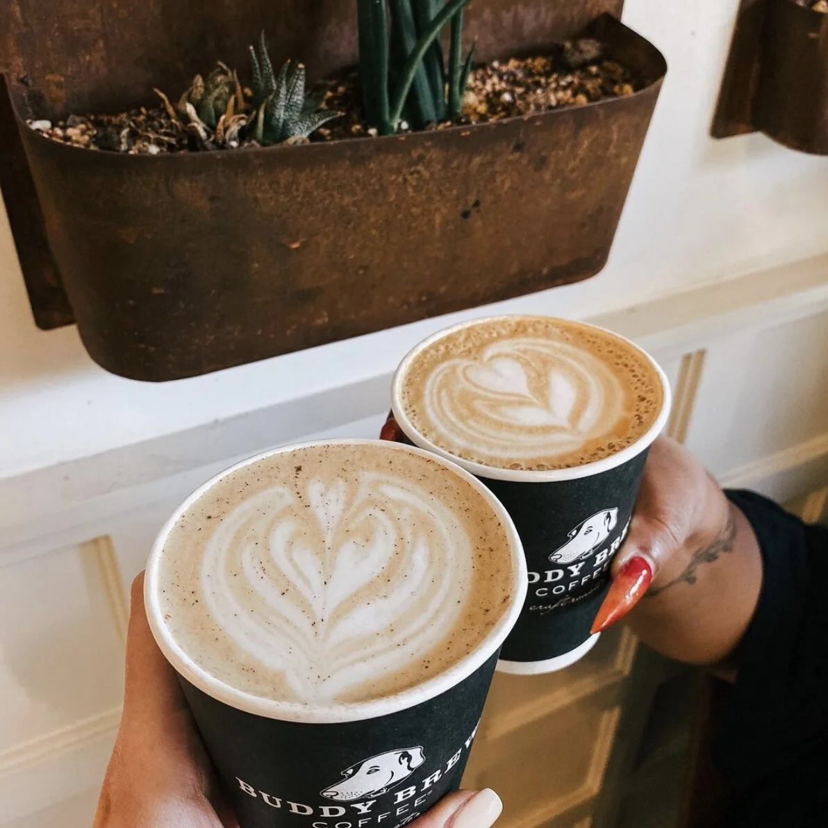 Buddy Brew Coffee is finally opening a café in St. Pete