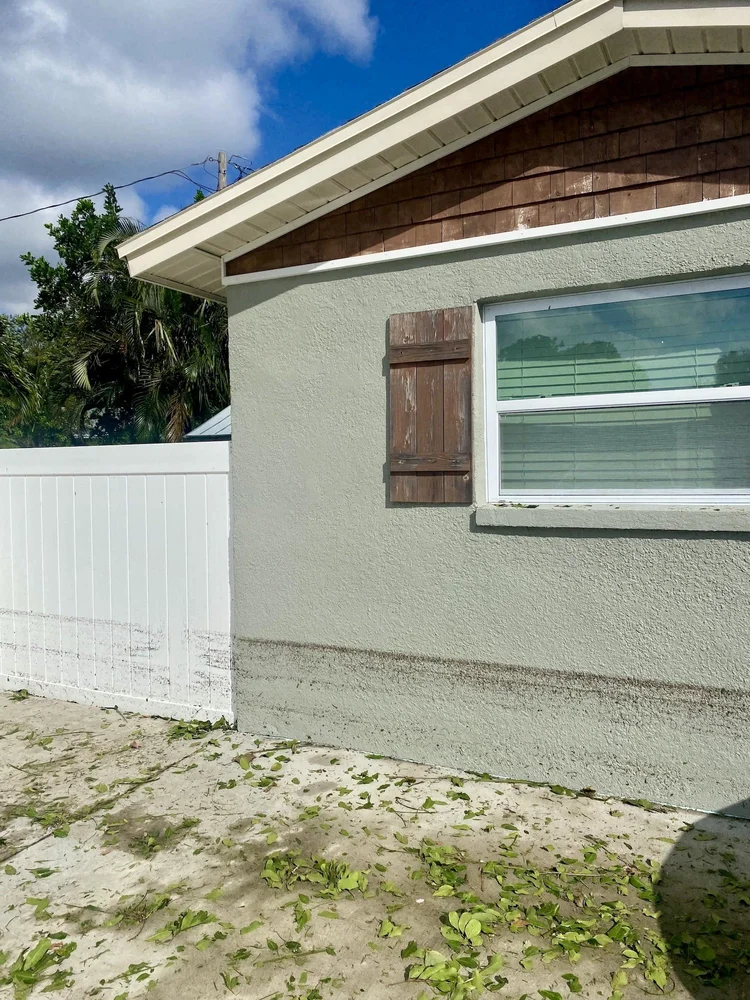 The Show Must Go On: Zubrick Magic Theatre asks for community's help to ...