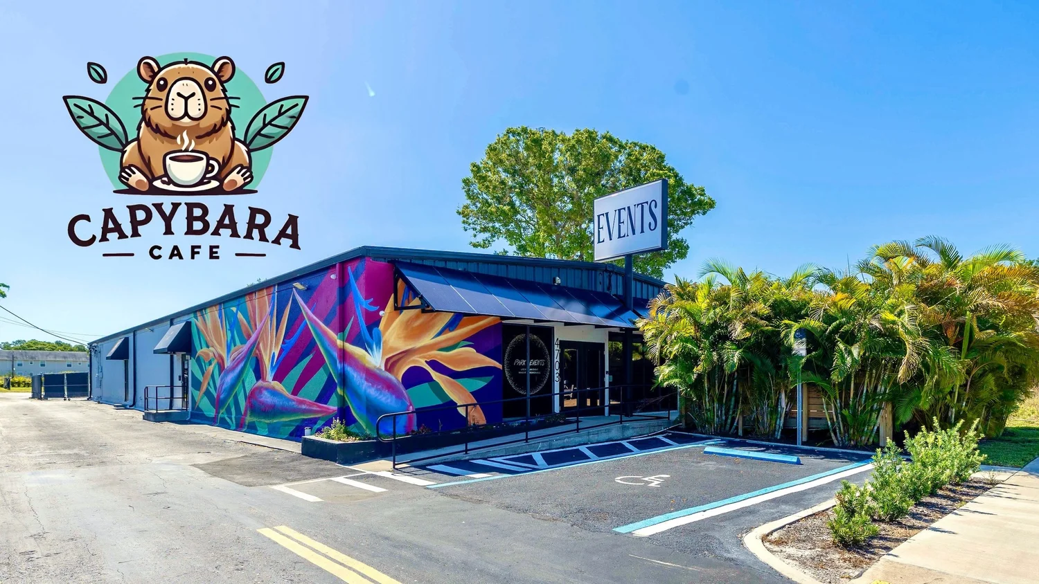 Capybara Cafe opening next month in St. Pete will let you cuddle ...